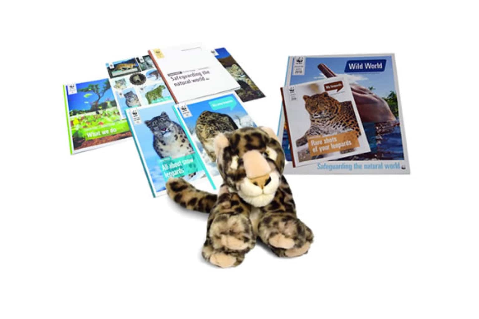 Understanding The Elusive Snow Leopard Wwf Uk Blog